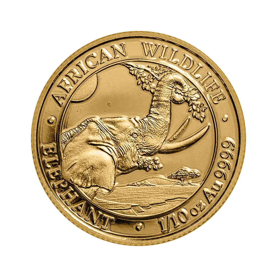 Somali gold coin Elephant 1/10 ounce - shipping 24 hours!