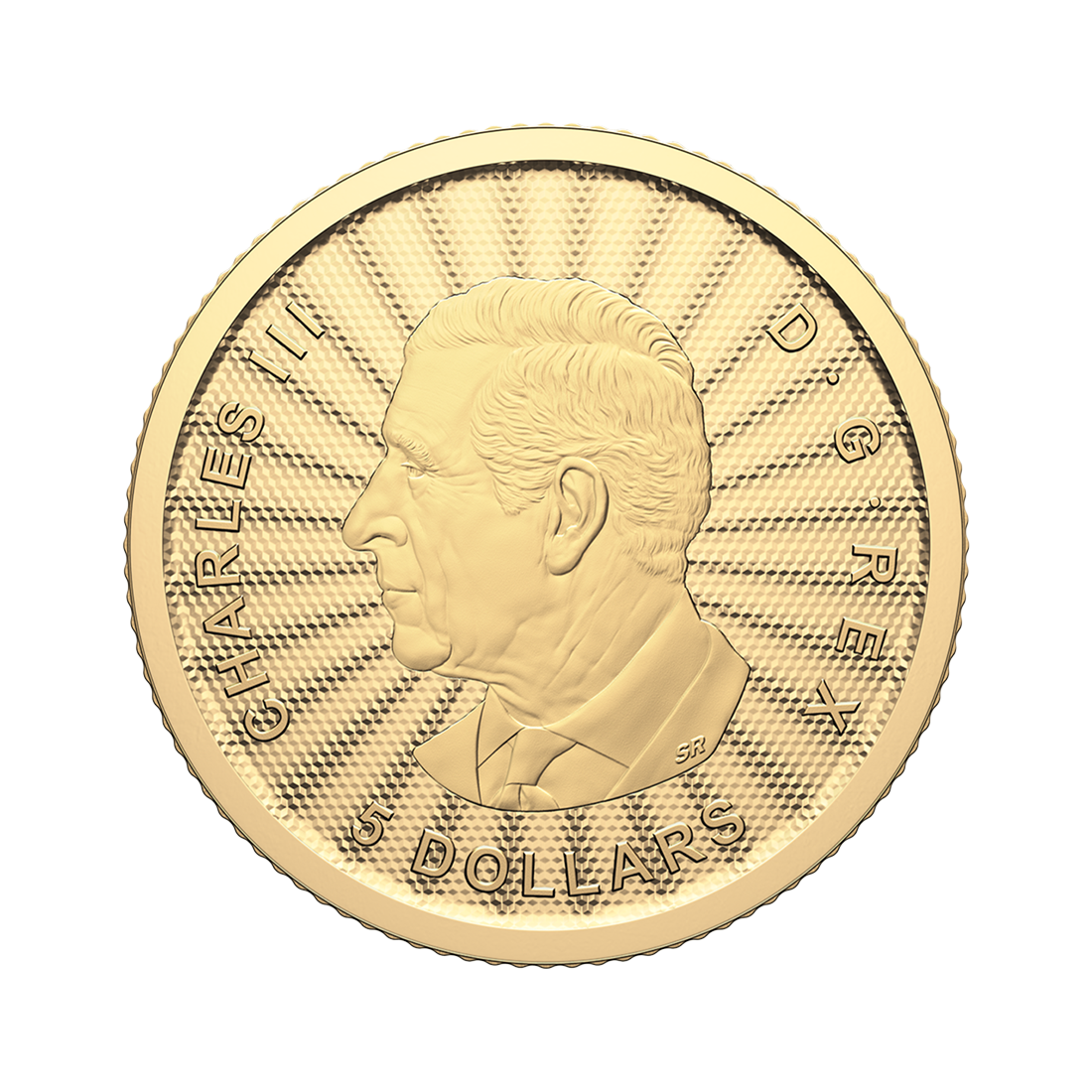 2024 Canada 1/10 oz. Gold $5 Polar Bear - 24h Shipping!