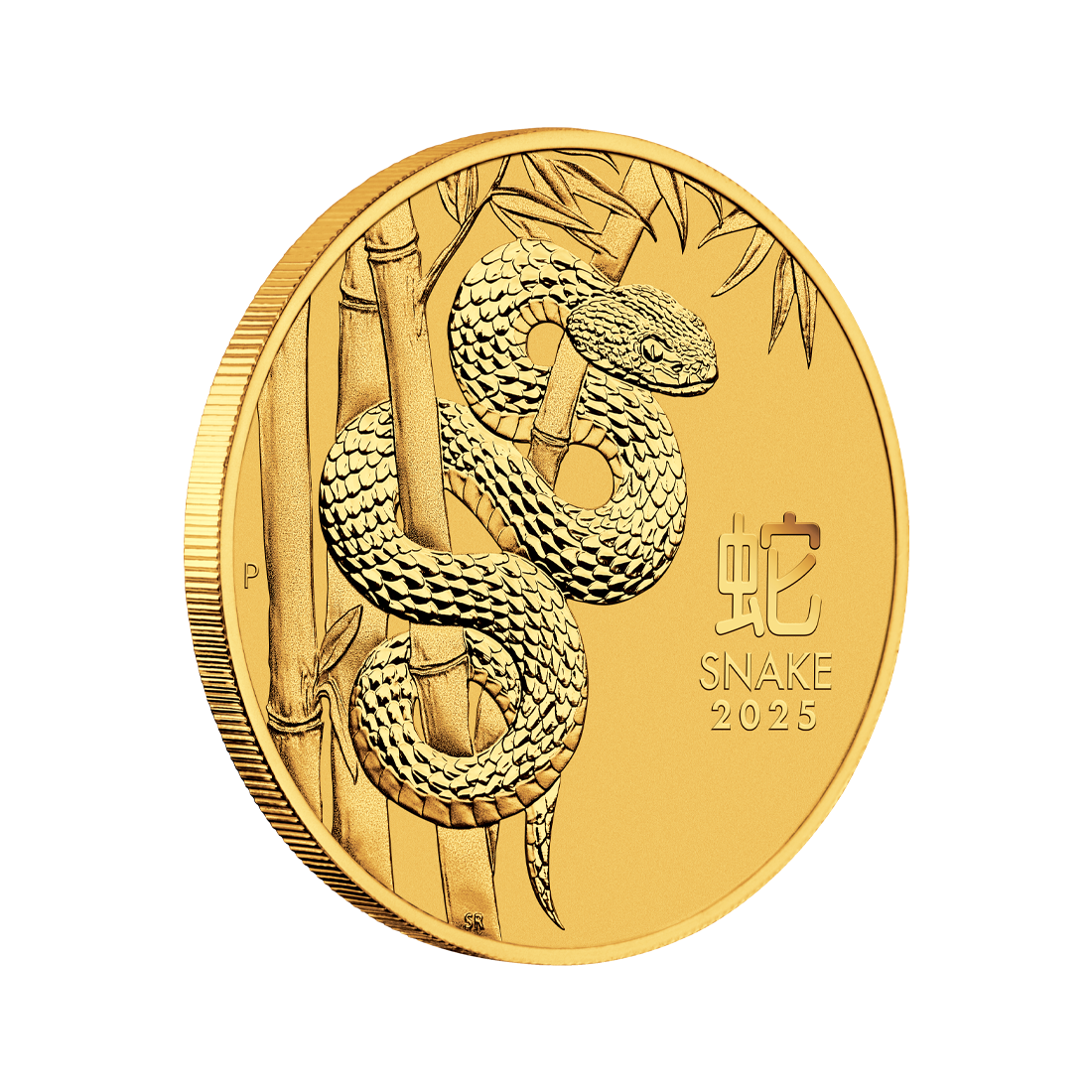 Year of the Snake gold coin 2025 1/4 ounce, shipping 24 hours!